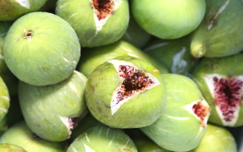 Guava. stock photo. Image of fruit, three, studio, green - 41276392