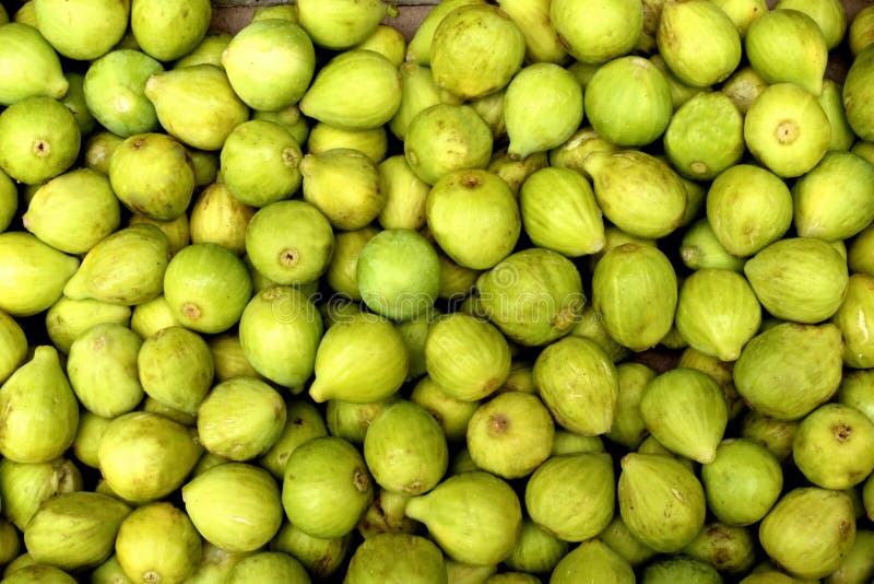 Green Figs stock photo. Image of white, isolated, seed - 11062898
