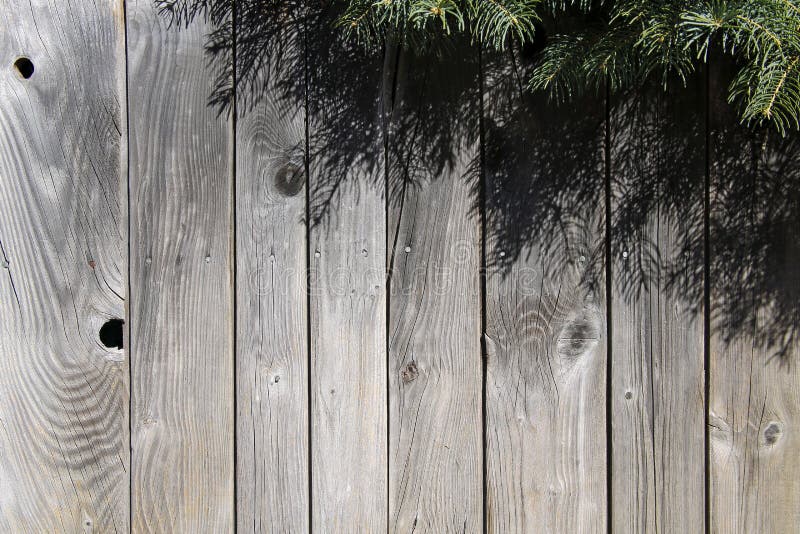 Green Fir Branches and Wooden Wall Stock Image - Image of desk, grain ...