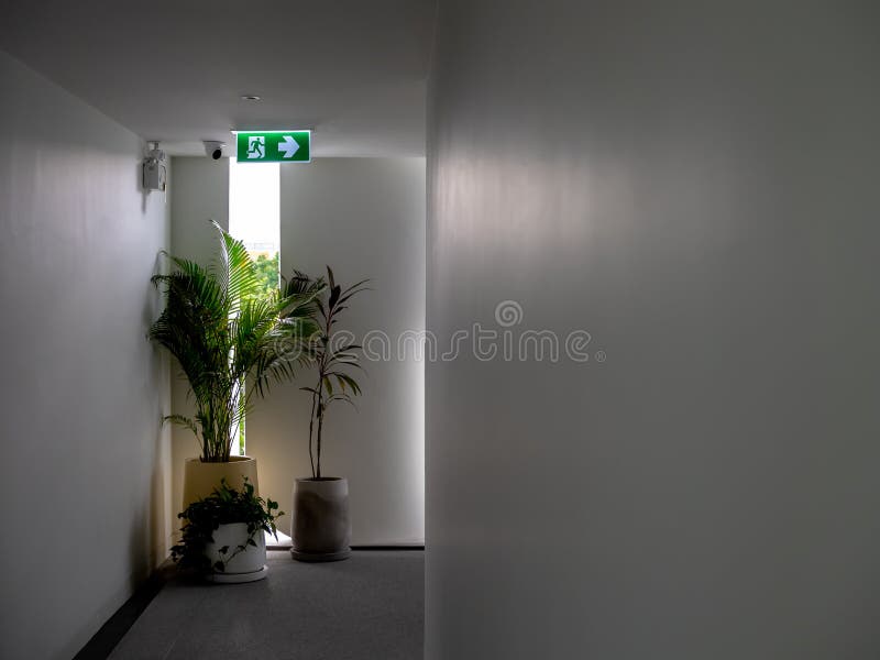 Green Fire Escape Sign Hang on the Ceiling at the Corner of Corridor in ...