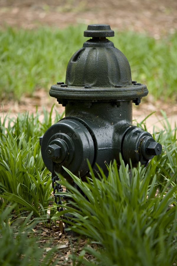 Green fire hydrant stock image. Image of outdoor, emergency - 14209241