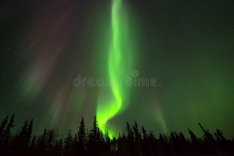 Green Fire stock image. Image of fanned, multi, exposure - 60882287