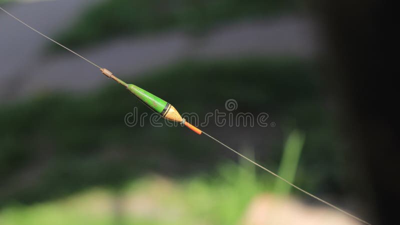 The green fishing float stock photo. Image of buoy, holiday - 90754440