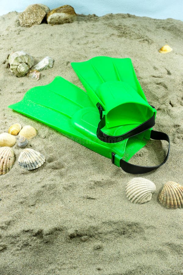 Green Flippers on the Sandy Beach Stock Photo - Image of lifestyle ...