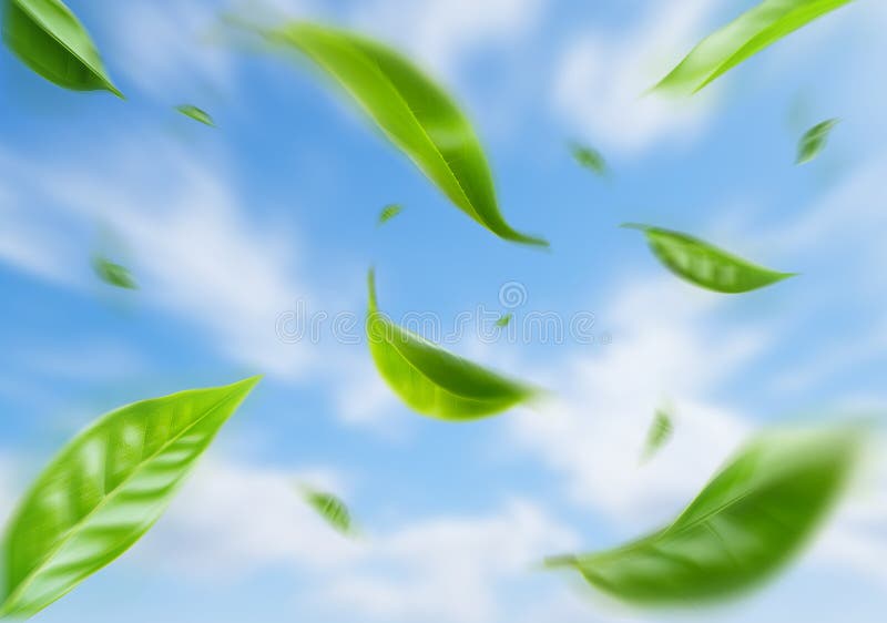 Green Floating Leaves Flying Leaves Green Leaf Dancing Stock ...