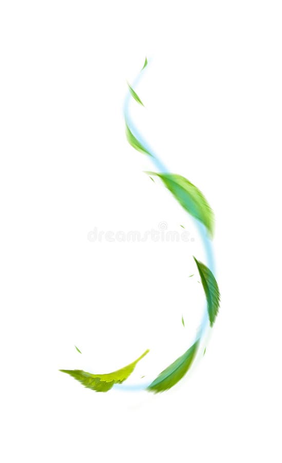 Green Floating Leaves Flying Leaves Green Leaf Dancing on White ...