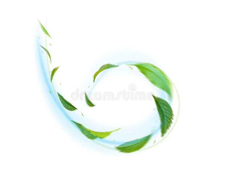 Green Floating Leaves Flying Leaves Green Leaf Dancing on White ...