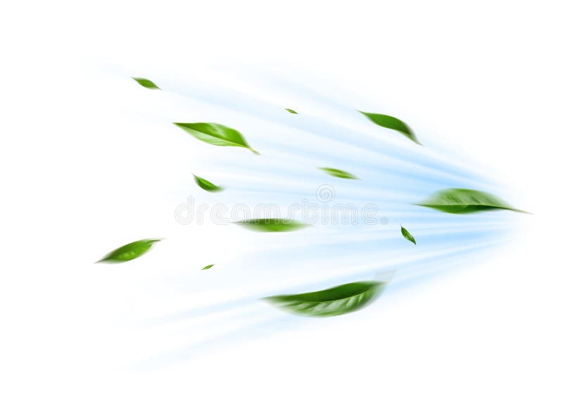 Green Floating Leaves Flying Leaves Green Leaf Dancing on White ...