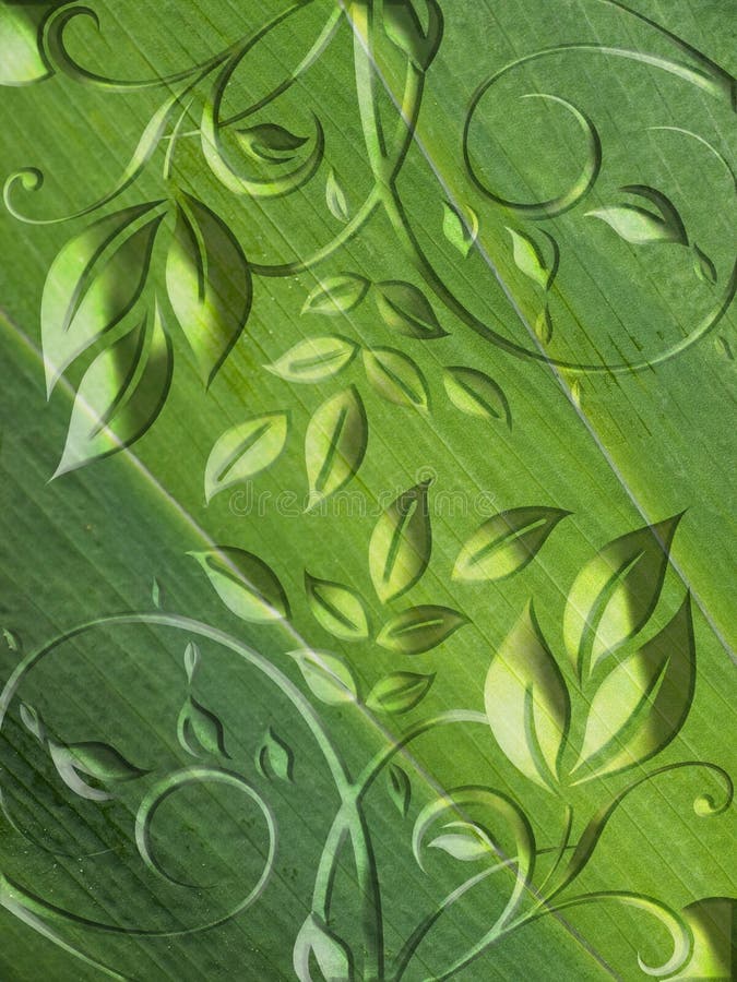 Green Floral Abstract Background Stock Photo - Image of macro, abstract ...