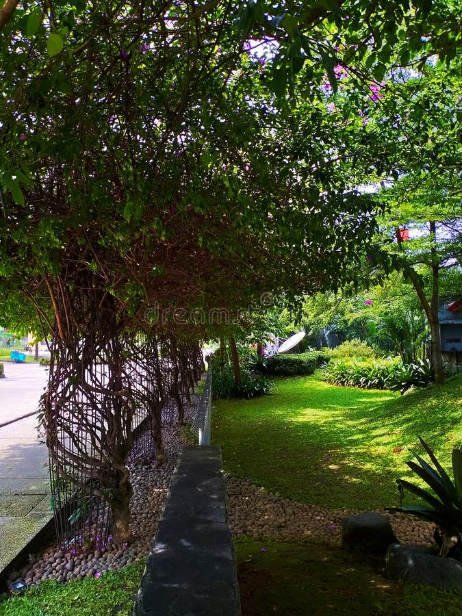 A Green Flower Garden by the Roadside Stock Photo - Image of green ...