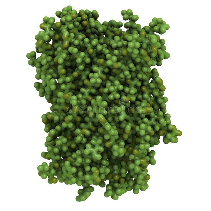 Green fluorescent protein stock image. Illustration of expression ...