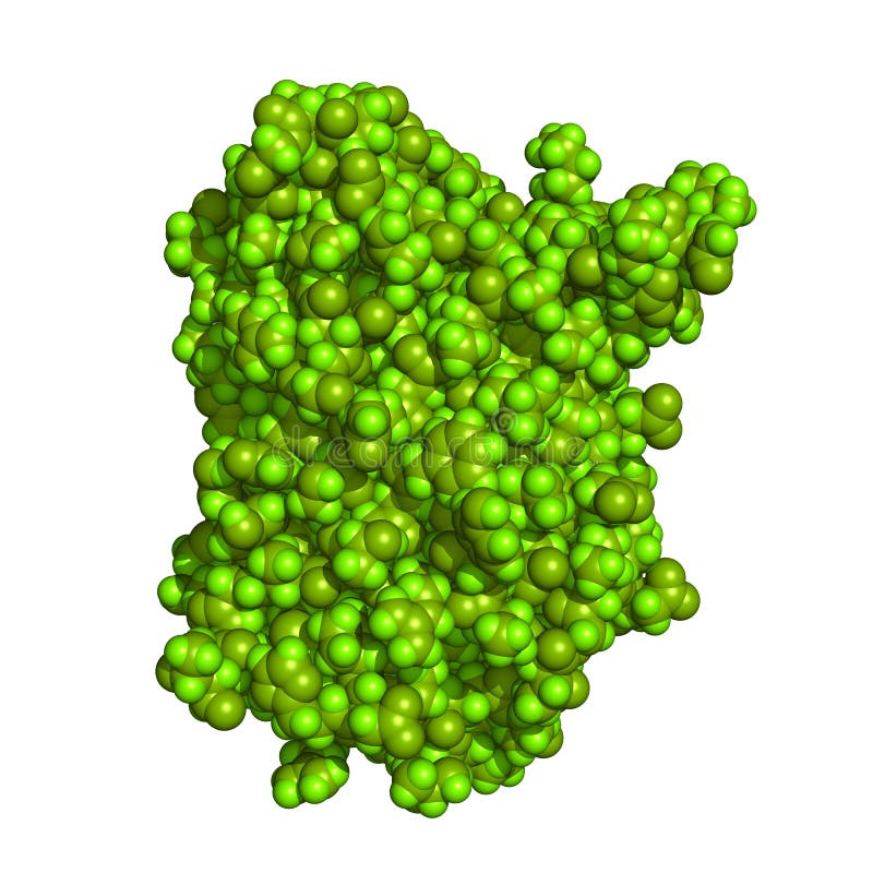 Green Fluorescent Protein Molecule Stock Illustration - Illustration of ...