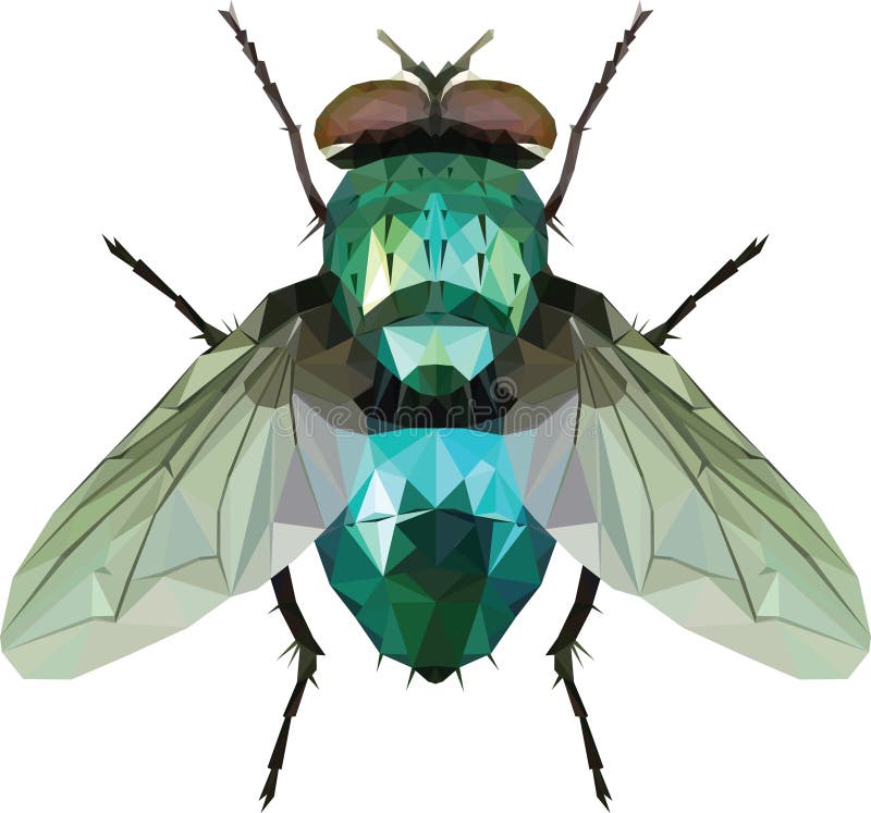 Green Fly triangle stock illustration. Illustration of entomology ...