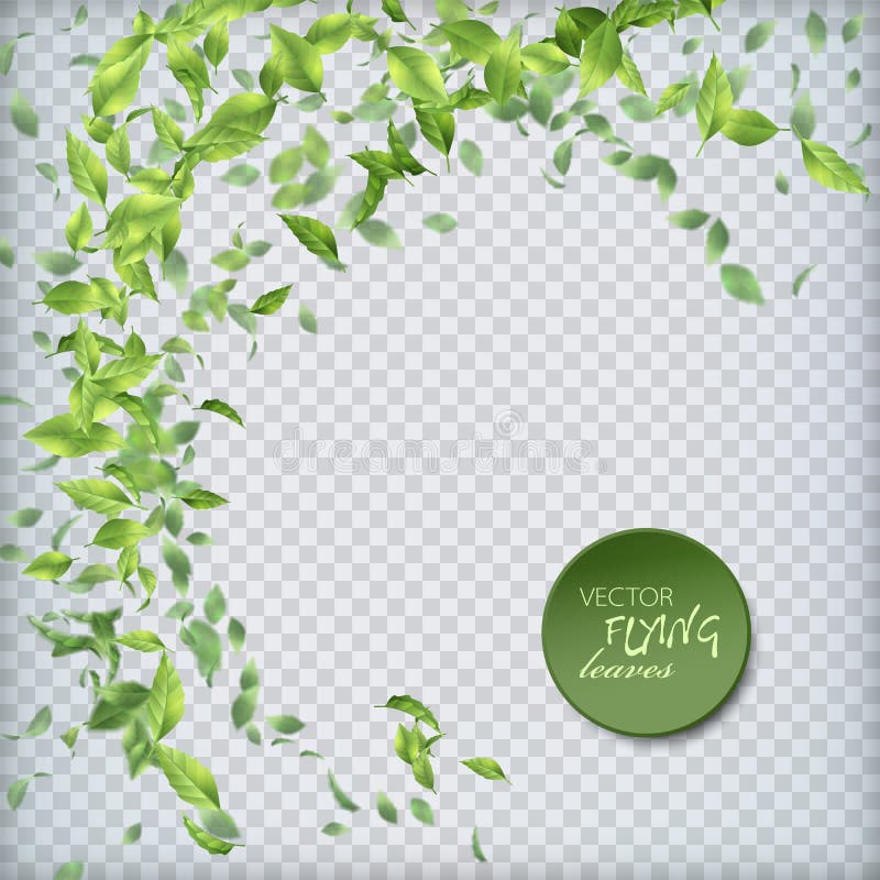 Green Flying Leaves stock vector. Illustration of design - 111402653