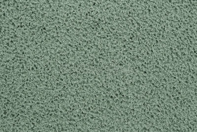 Green foam dinosaur stock photo. Image of dinosaur, creature - 16499006