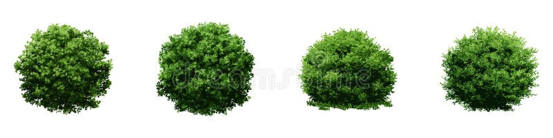 Green Foliage Bushes in Digital Vector Side View Set. Landscape ...