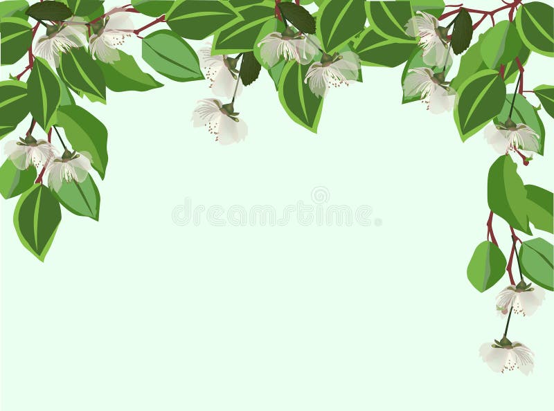 Green Foliage and Light Flowers Half Frame Stock Vector - Illustration ...