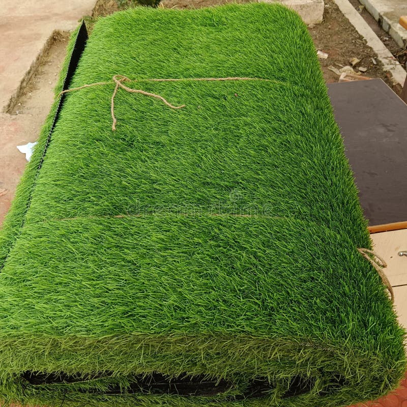 Green foot mat stock photo. Image of foot, cleaning - 298725612