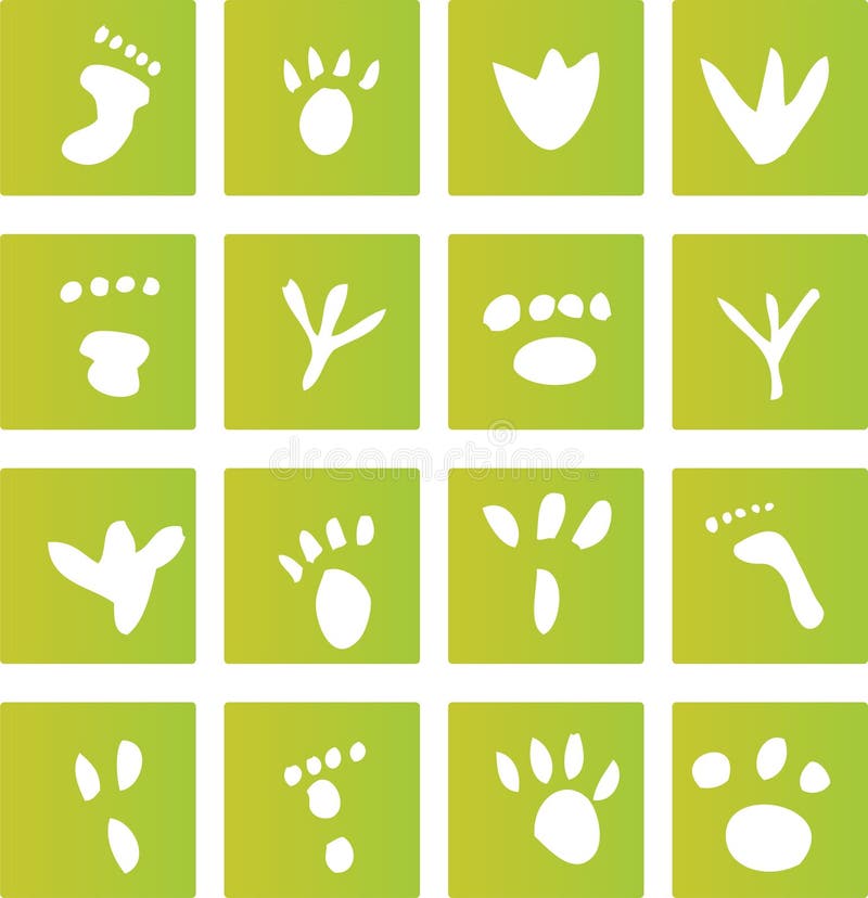 Green Foot Print Icons stock vector. Illustration of ptoone - 6032238
