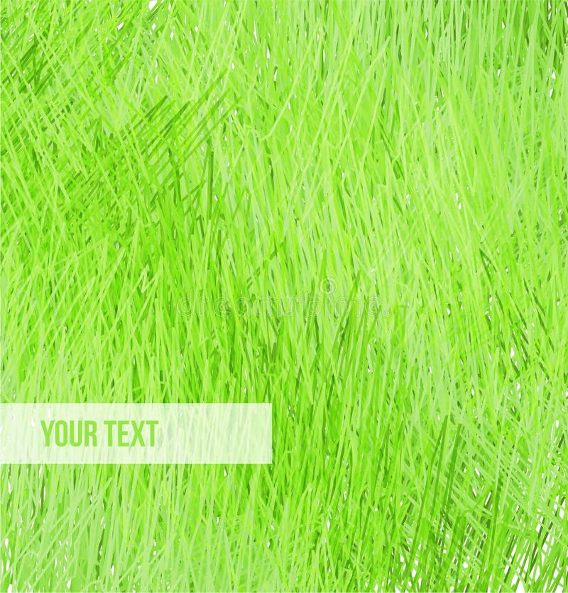 Green Football Field Grass. Vector Stock Vector - Illustration of ...