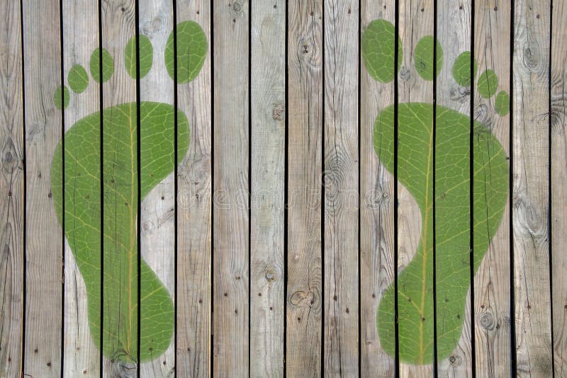 Green Footprints with the Texture of a Tree Leaf on the Plank Floor, a ...