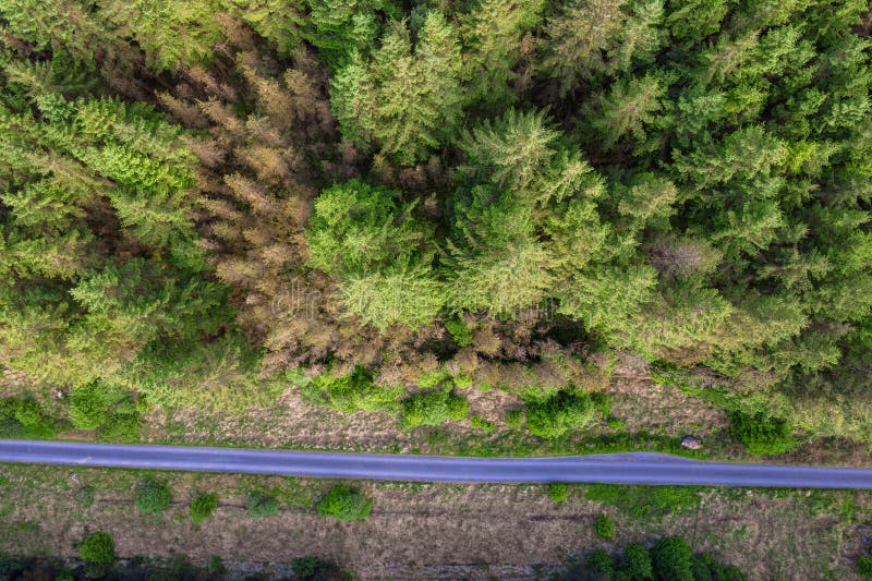 Green Forest Area with Small Road. Top Down Aerial View. Nature Scene ...