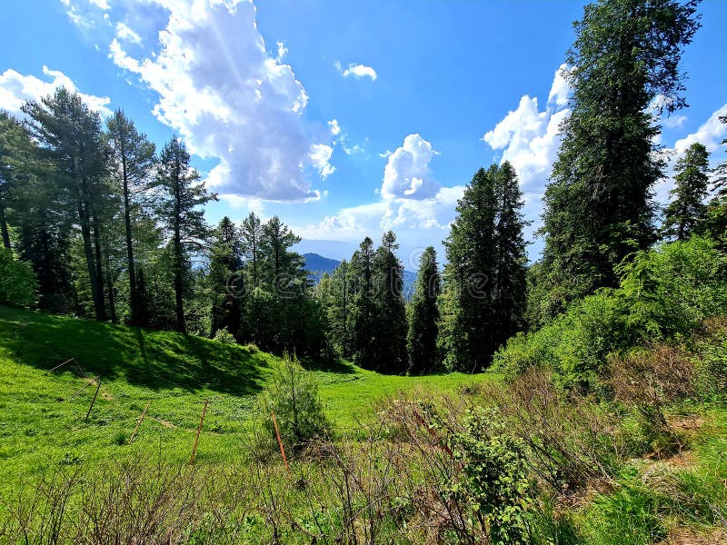 Weather Thandiani Stock Photos - Free & Royalty-Free Stock Photos from ...