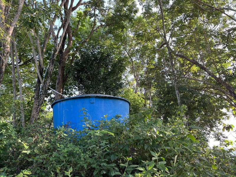 Green Forest with Blue Water Tank on the Middle Stock Image - Image of ...