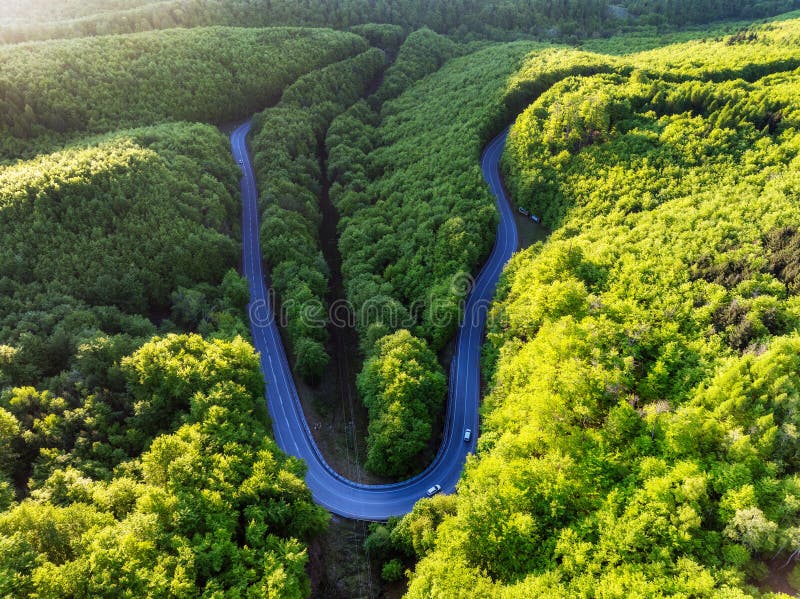 Green Forest with Curve Road at Sunset Stock Photo - Image of view ...