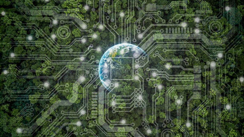 Forest with Keyboard Button, Search for Go Green Environment To Save ...