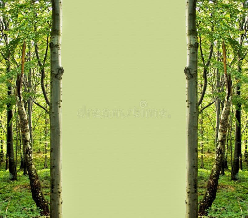 Green forest frame stock photo. Image of deciduous, daylight - 18602192