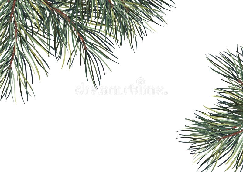 Forest Frame from Branches and Leaves Isolated on a White Background ...