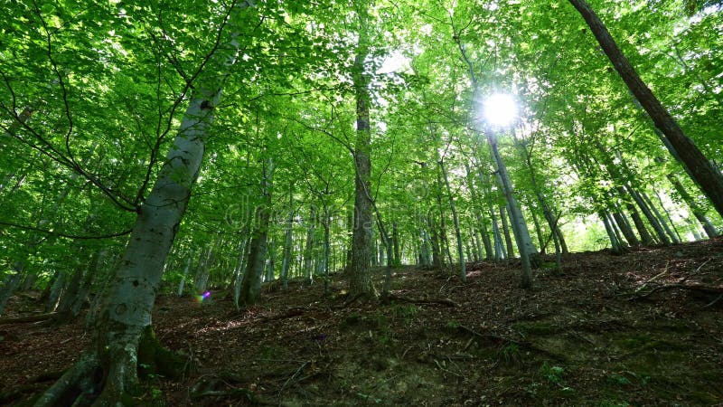Low Angle Shot of the Sea Against the Background of Mountains and Sky ...