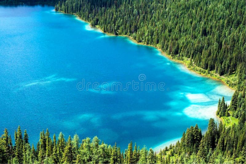 Green Forest Lake View of Mount Assiniboine Stock Image - Image of ...