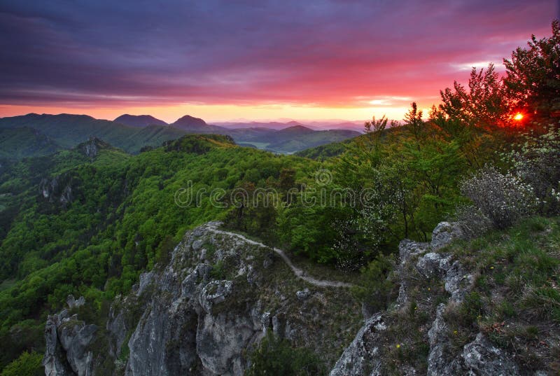 Green Forest Mountain At Sunset Stock Image - Image of grassland, green ...