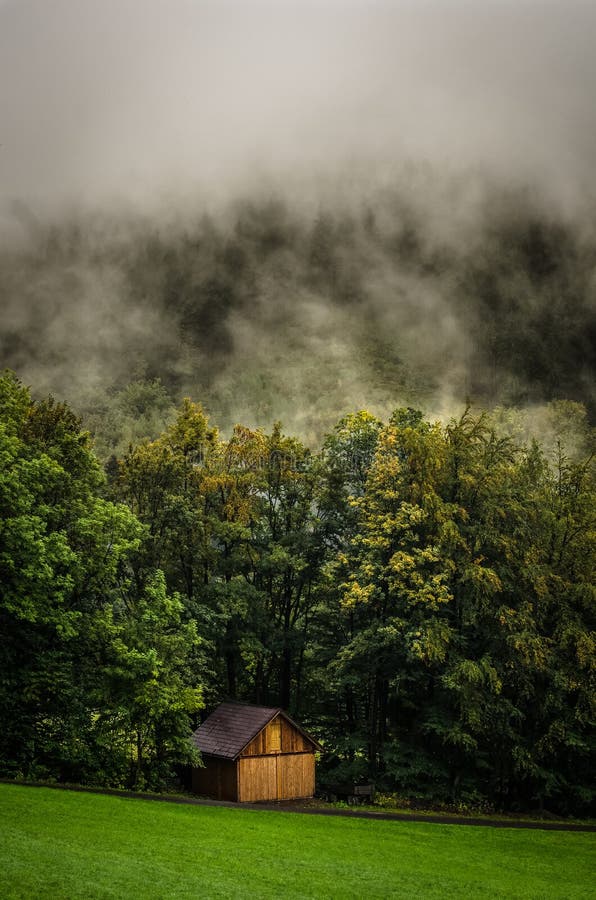 Green Forest with Mountains in the Back Stock Photo - Image of black ...