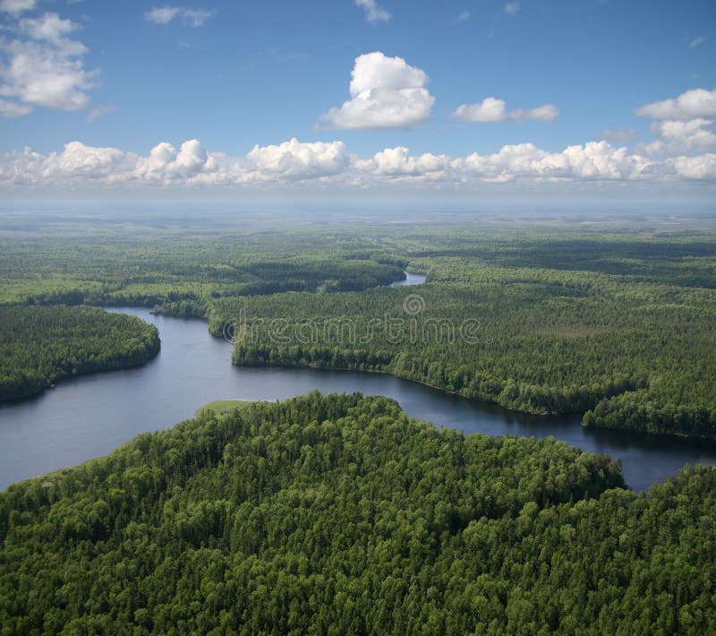 Forest of Plain and Small River in Winter Stock Image - Image of season ...