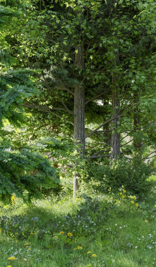 Green Forest Portrait View Shooting Stock Illustration - Illustration ...
