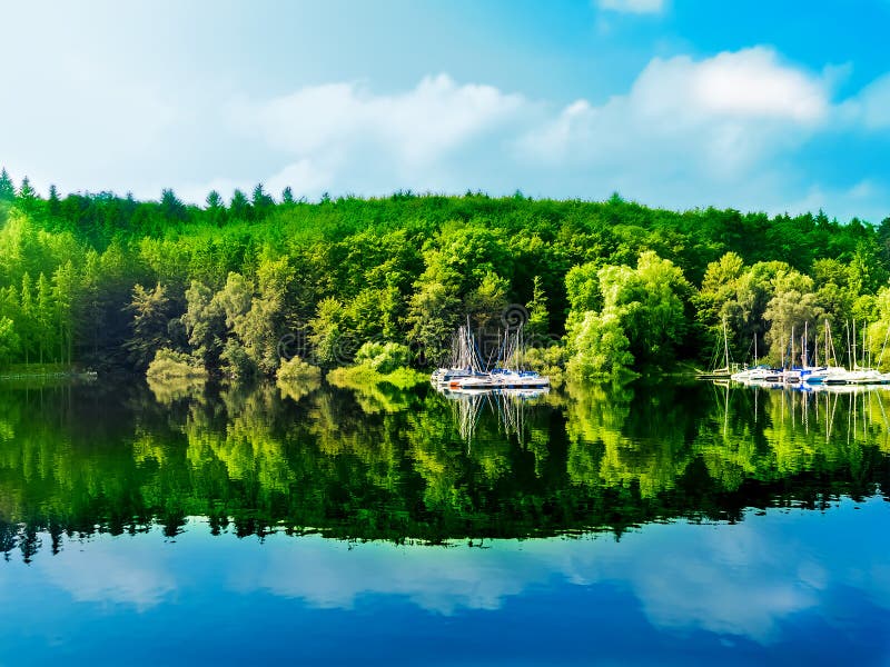 Green Forest Reflection in Blue Lake Water Stock Photo - Image of flora ...