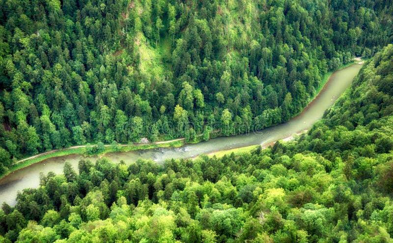 Green Forest with River, Aerial View As Background Stock Photo - Image ...