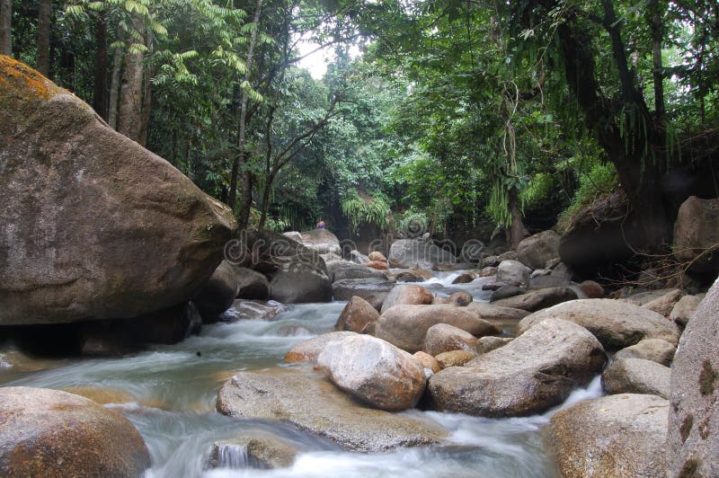 Green Forest & River From Indonesia Stock Image - Image of clear ...