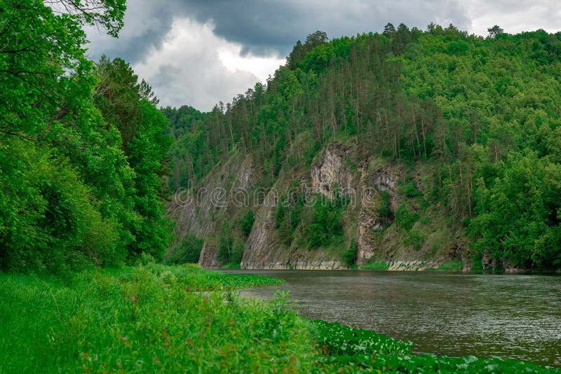 Green Forest River Shore Landscape. Forest River Shore Panorama. Summer ...