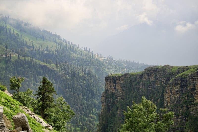 Green Forest and Rocky Ravine in Mountains Stock Photo - Image of light ...