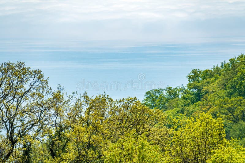 Green Forest on the Sea Shore and the Sea in the Distance Stock Image ...