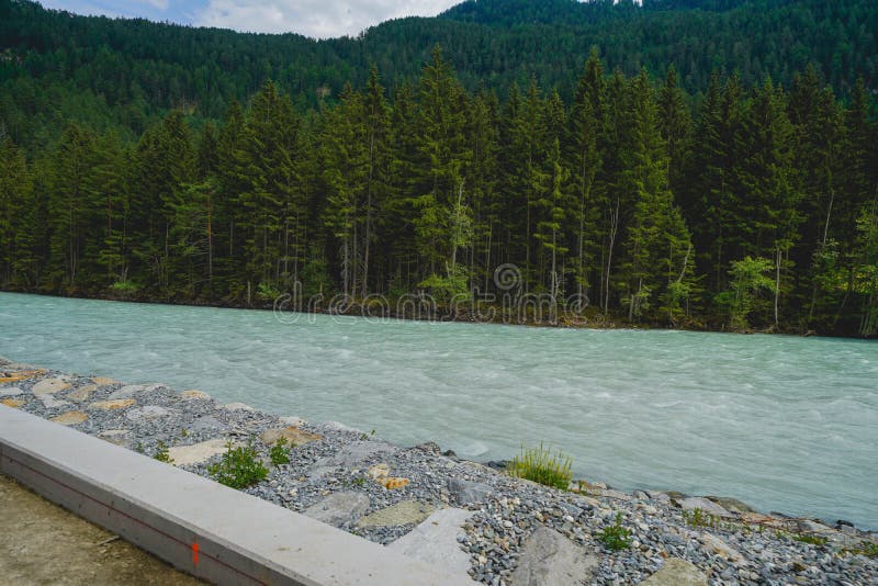 Green Forest at the Shore of a Lake Stock Image - Image of outdoor ...