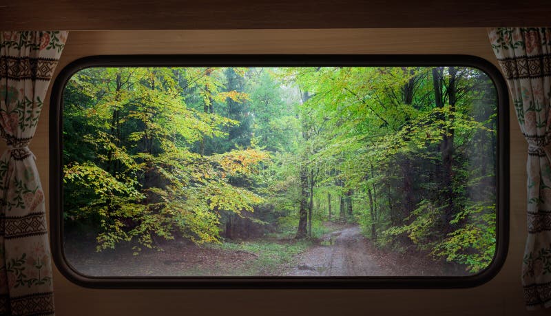 Green Forest in Spring, View from Camper Window Stock Photo - Image of ...