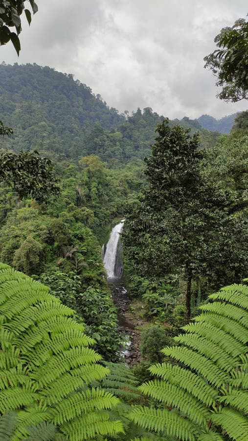 Green Forest and Waterfall at Curug Gomblang Purwokerto Stock Image ...