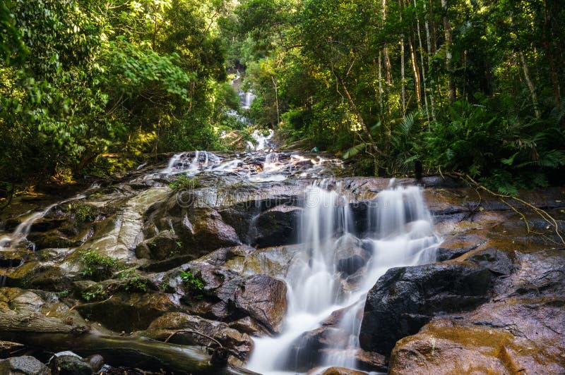 Green forest waterfall stock photo. Image of jungle - 111911810