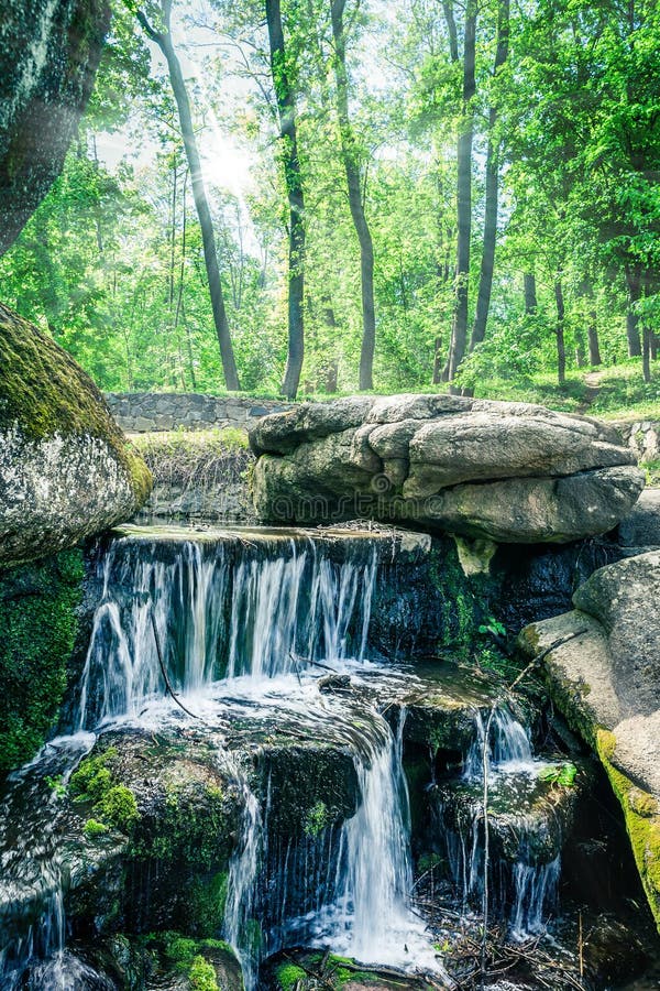 Green Forest with a Waterfall Stock Image - Image of green, scenery ...