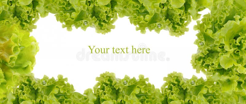 Fresh Green Salad frame stock photo. Image of farm, color - 25069106